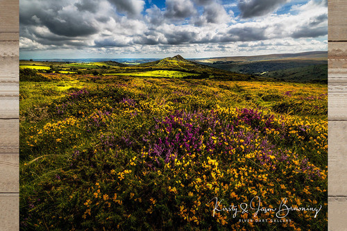 Springtime in the Moors | River Dart Gallery