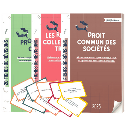 Méga Pack L3 [Réussir la L3 Droit]