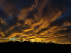 Photo Gallery | E3 Ranch
