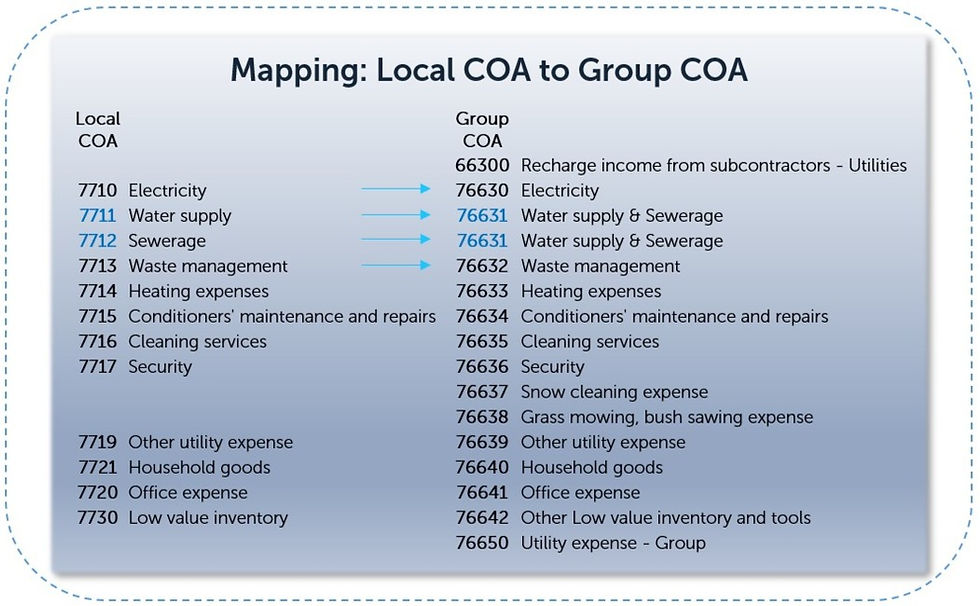 Successful Implementation of a New Group Chart of Accounts (Group COA ...