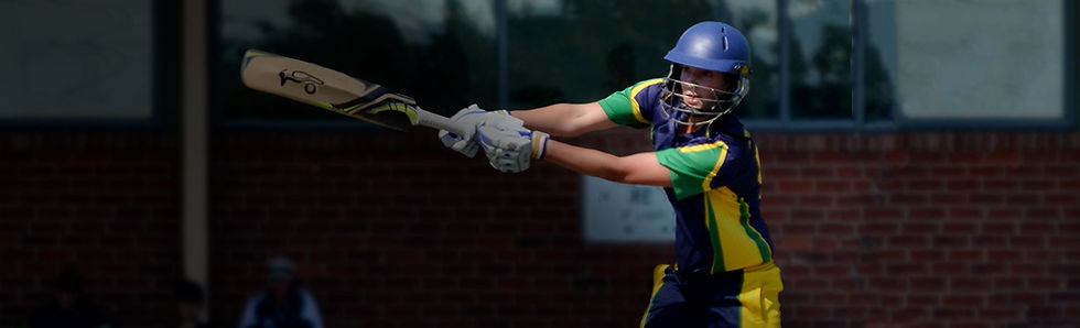 BCDCA - Blacktown City & District Cricket Association | cricket ...