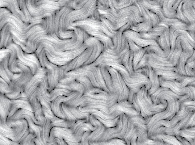 Biophysics | Soft Matter Biophysics Weizmann