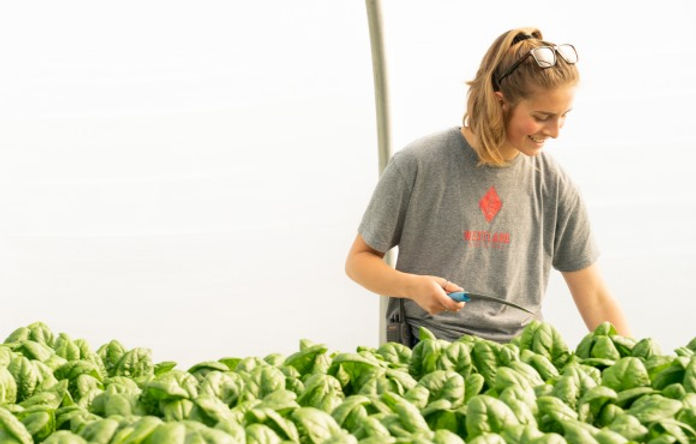 Jeff's farm update: More signs of spring at our farm