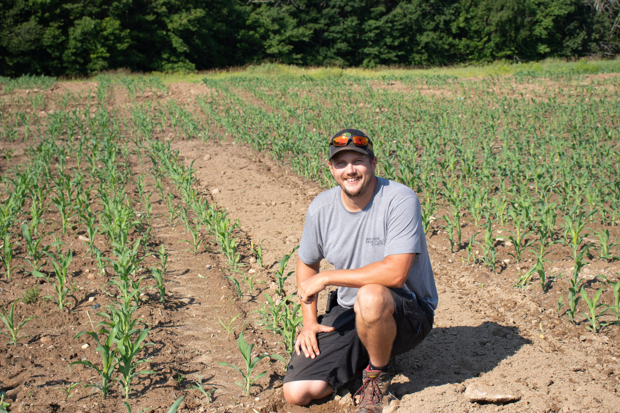 How we create our corn maze