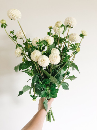 Small World | Floralie Flower Farm