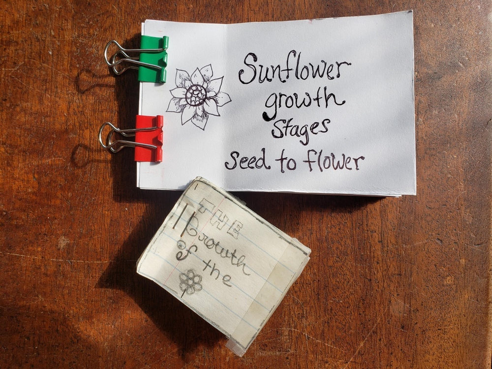 Spring Flower Growing Flip Book