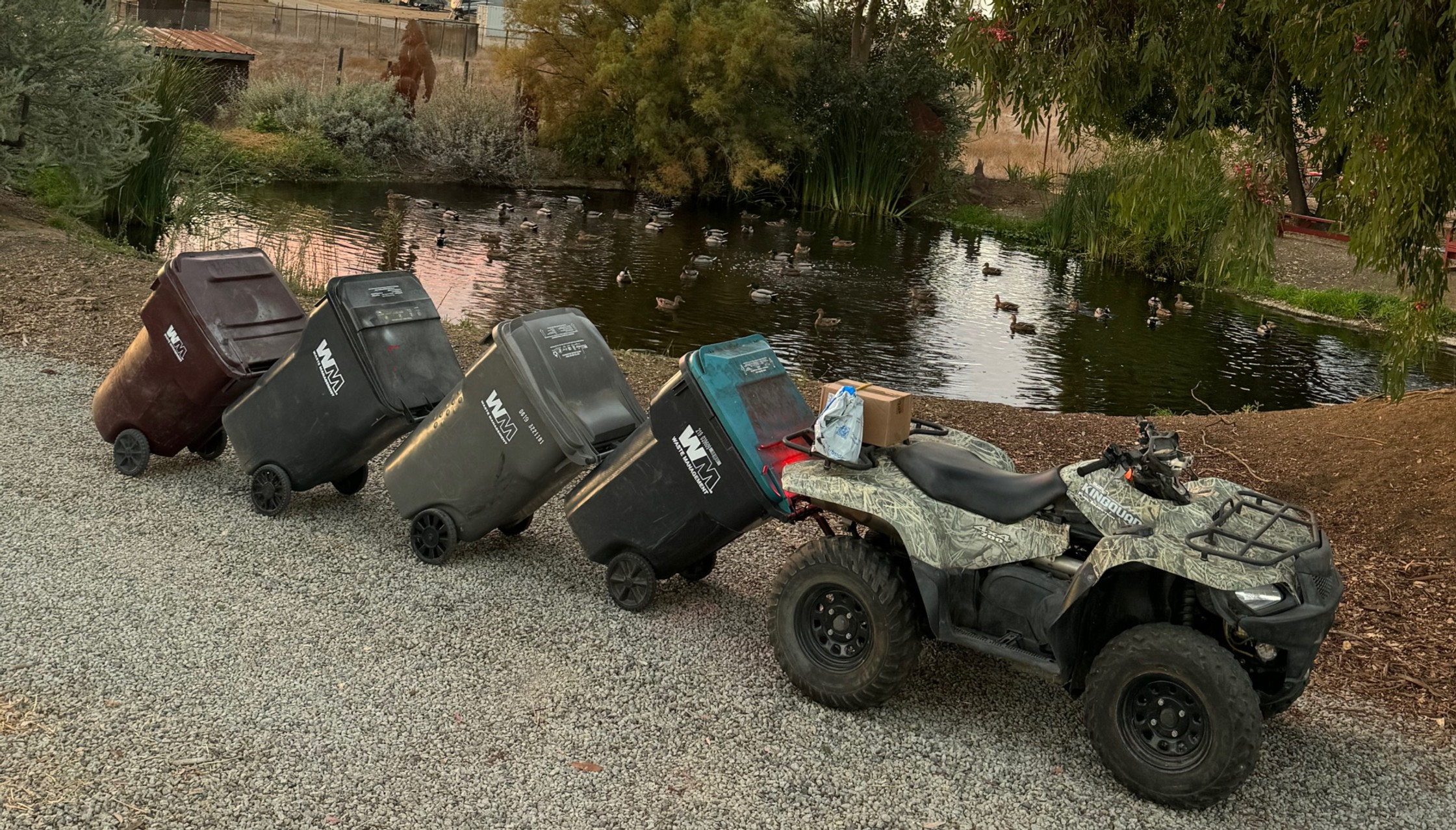 Hauling Your Garbage Cans