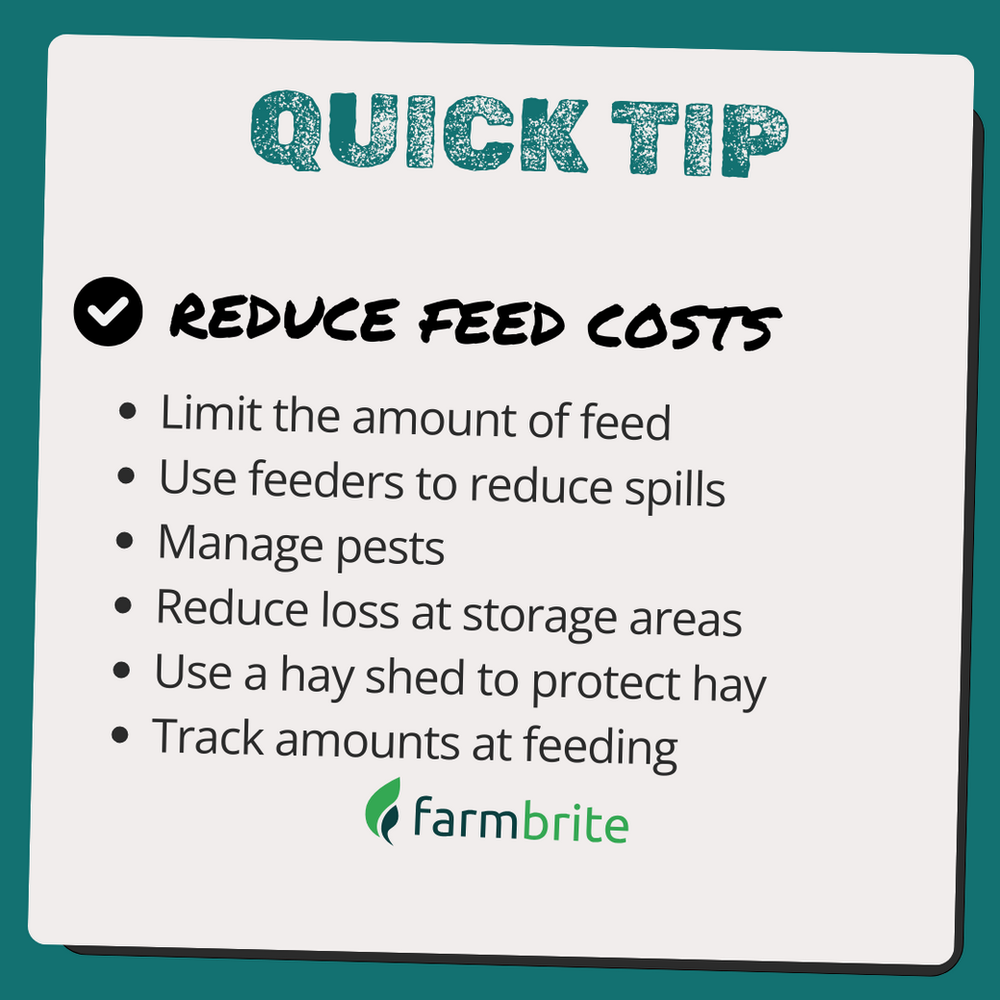 How to make your own Livestock or Animal Feeds - See-Mor Grain