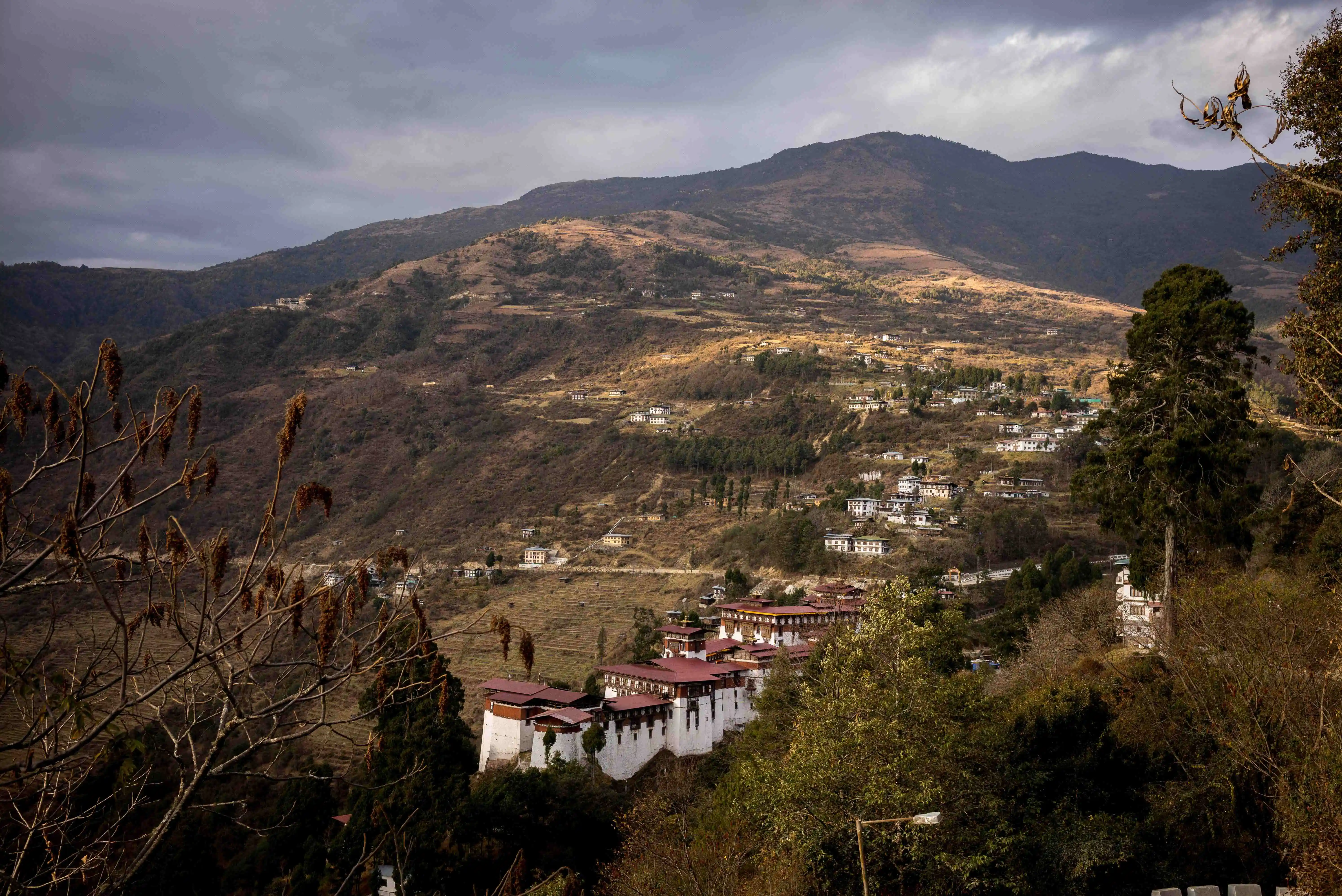 Bhutan - Purity Walk | Aarief