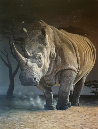 COSMIC SAFARI | Emma Duck
