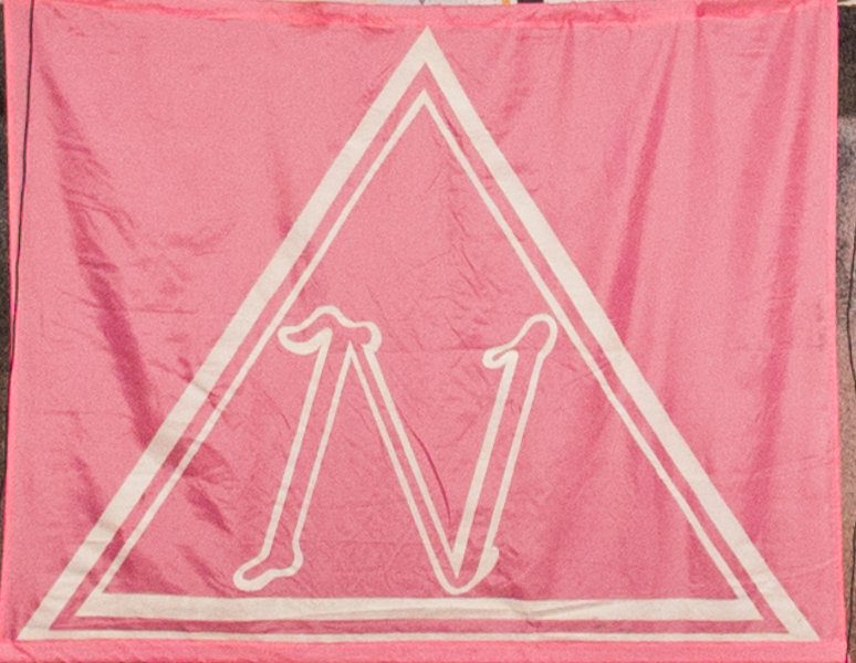 DELTA NU BANNER