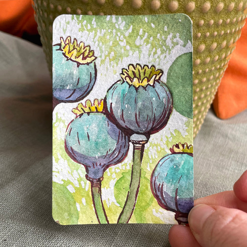 Poppy seeds - Original painting | johannaforster