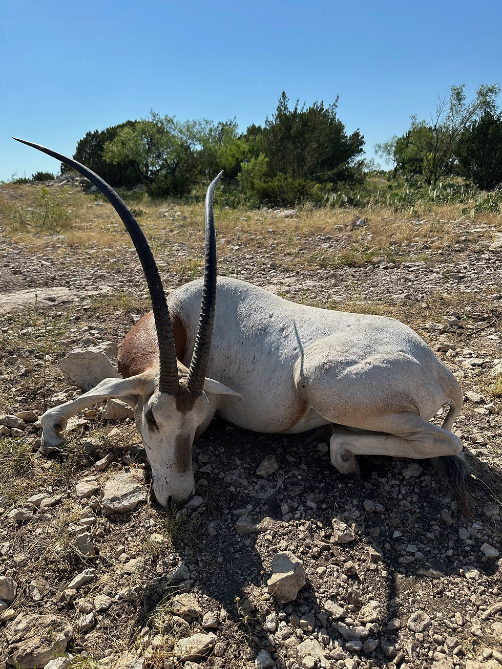 Harvest Gallery | Premier Ranch