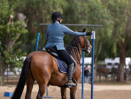 Kathleen Elliott Equestrian Training | Horseback Riding Lessons in Murrieta