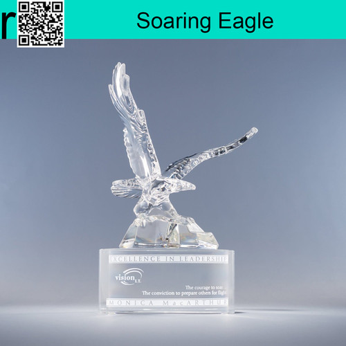 Soaring Eagle | RS Recognition