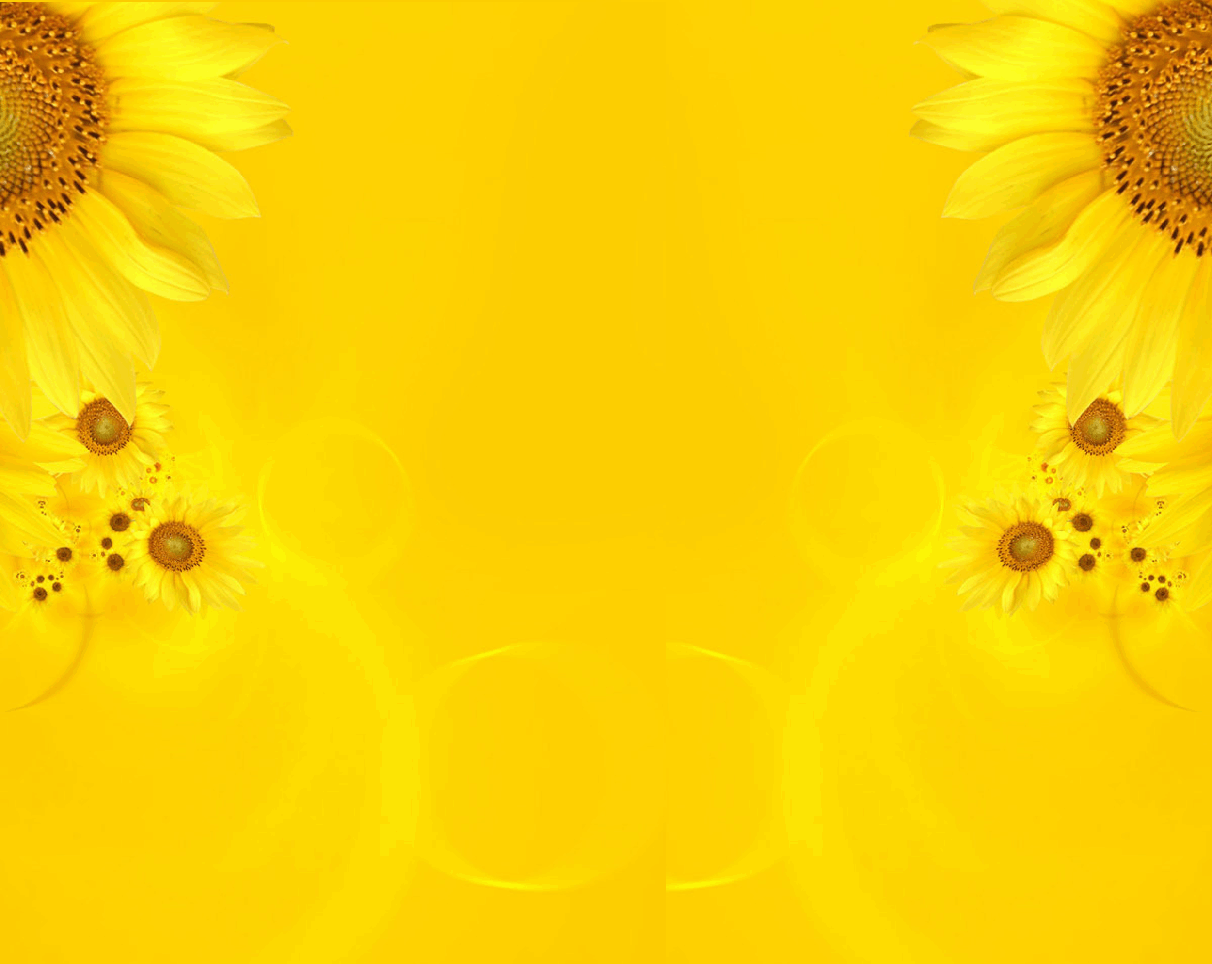 For Sale | sunflowerchilcogsds