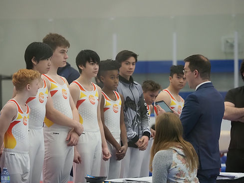 COMPETITIVE/XCEL | Phoenix Gymnastics