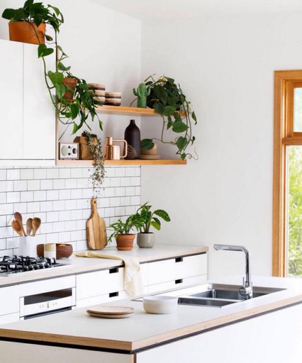 The Best Tiles for Your Kitchen - PJ Burns Builder
