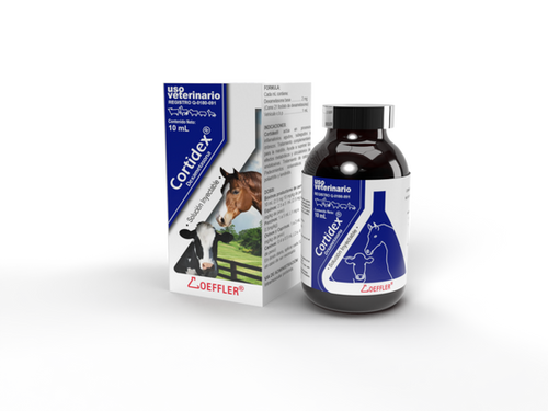 Cortidex® | Innopharma