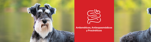 Antiemetics, antispasmodics and prokinetics | Innopharma