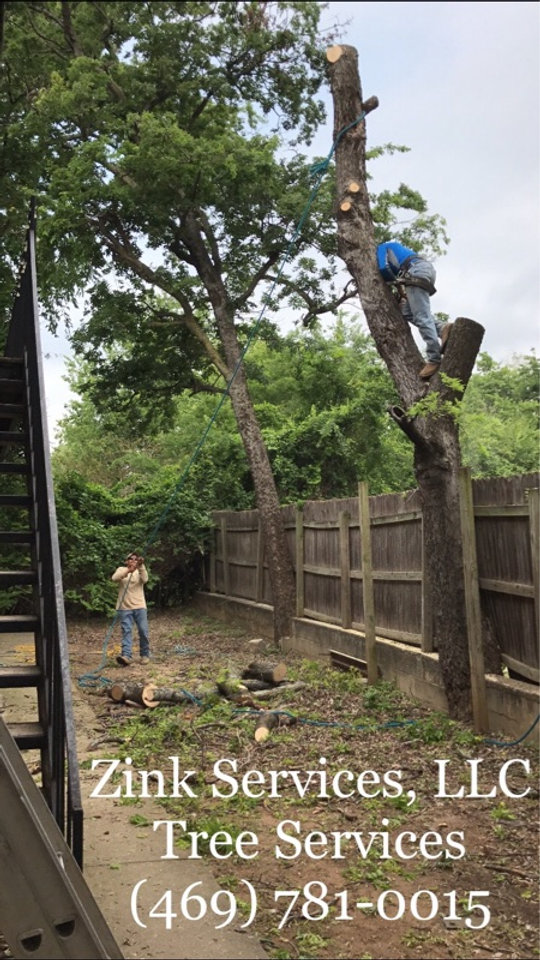 Tree Services