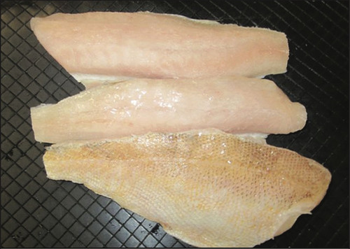 Butter Fish Fillet | website