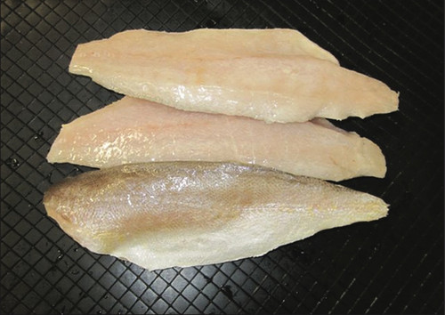 Bangamary Fillet | website