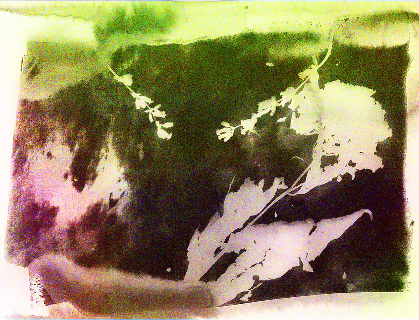 Fine Art | Ashley Koenig