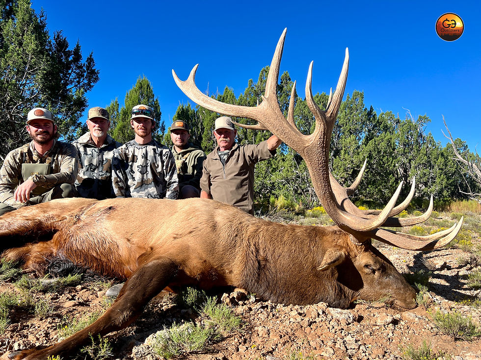 Arizona Trophy Elk Hunts | G3 Outfitters