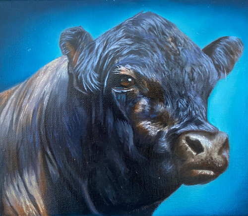 Blue Angus, oil | ostg