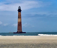 Lighthouse Creek Charters | Dolphin tours