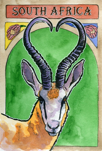 South Africa's Springbok Ink & Watercolor Painting | SSavaArt