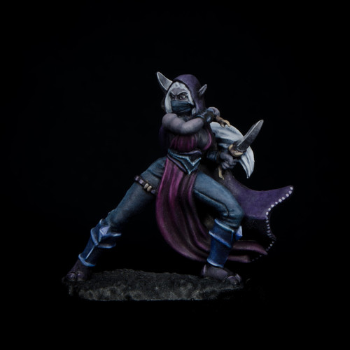 Dark Elf Rogue | Tomb Guardians
