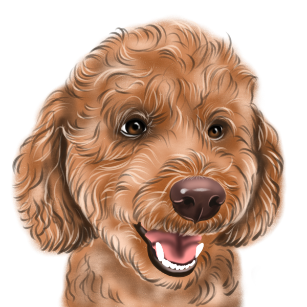 Tucker | McCaffrey Insurance