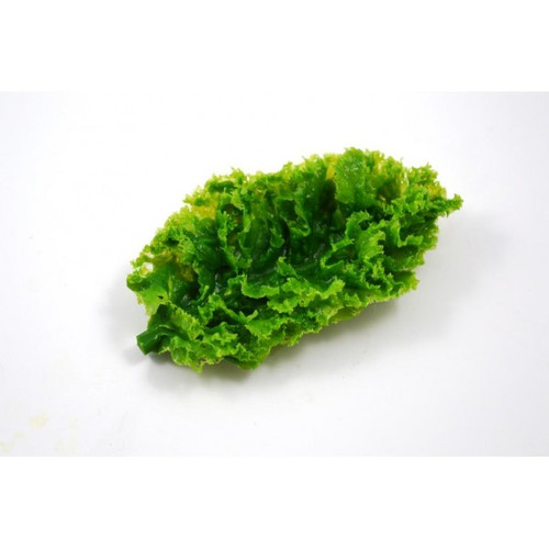 Kale Leaf | THP Fake Food