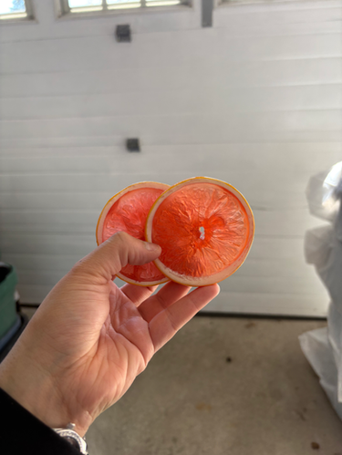 Grapefruit Slice (Set of 4) | THP Fake Food