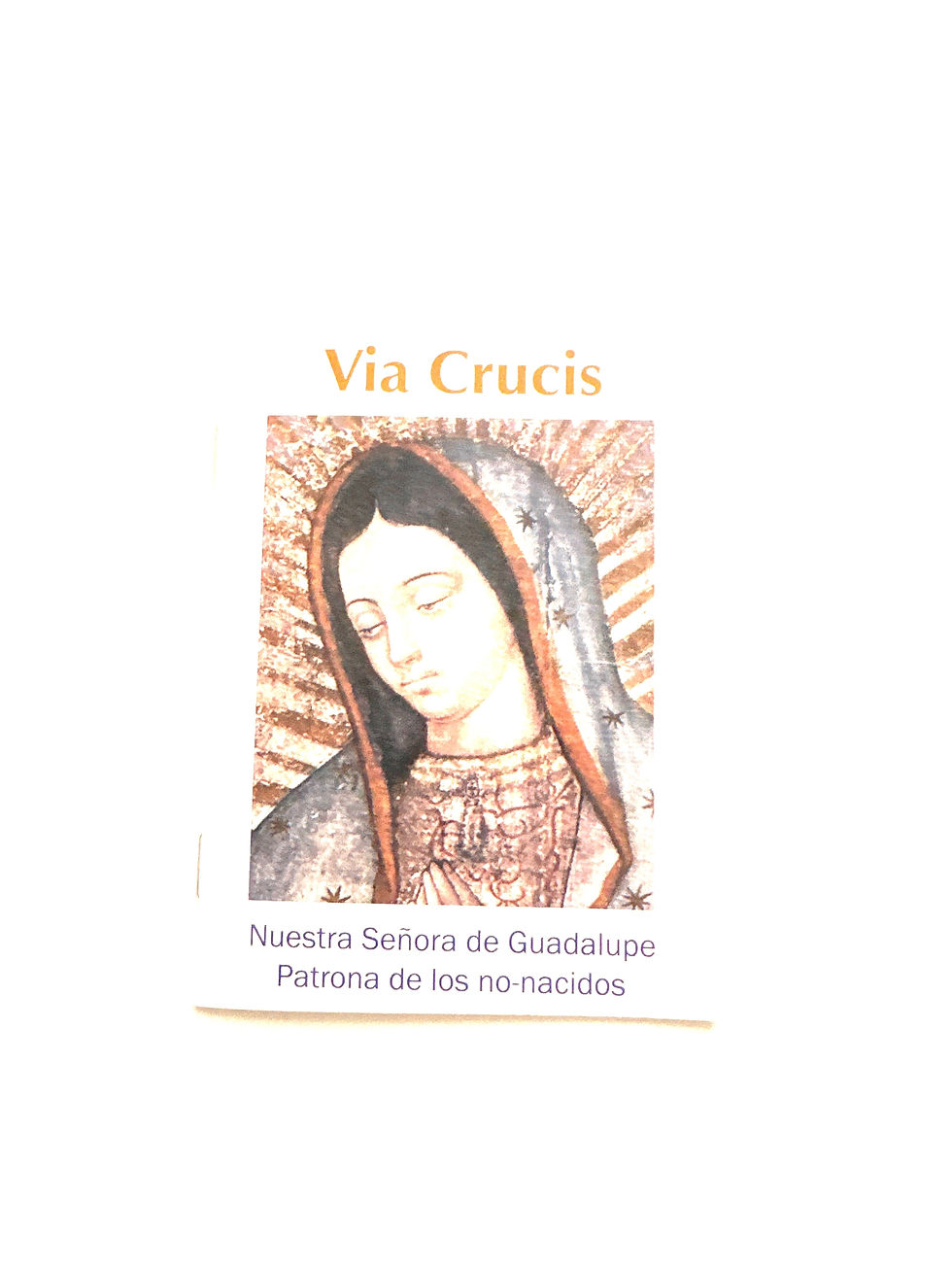 Folleto: “Vía Crucis Nuestra Señora Guadalupe Patrona de los No-Nacidos ...