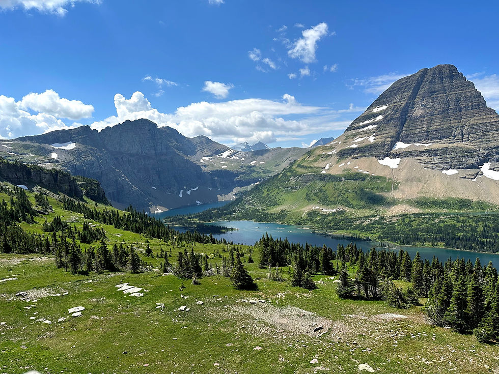 Team | Foley Engineering | United States