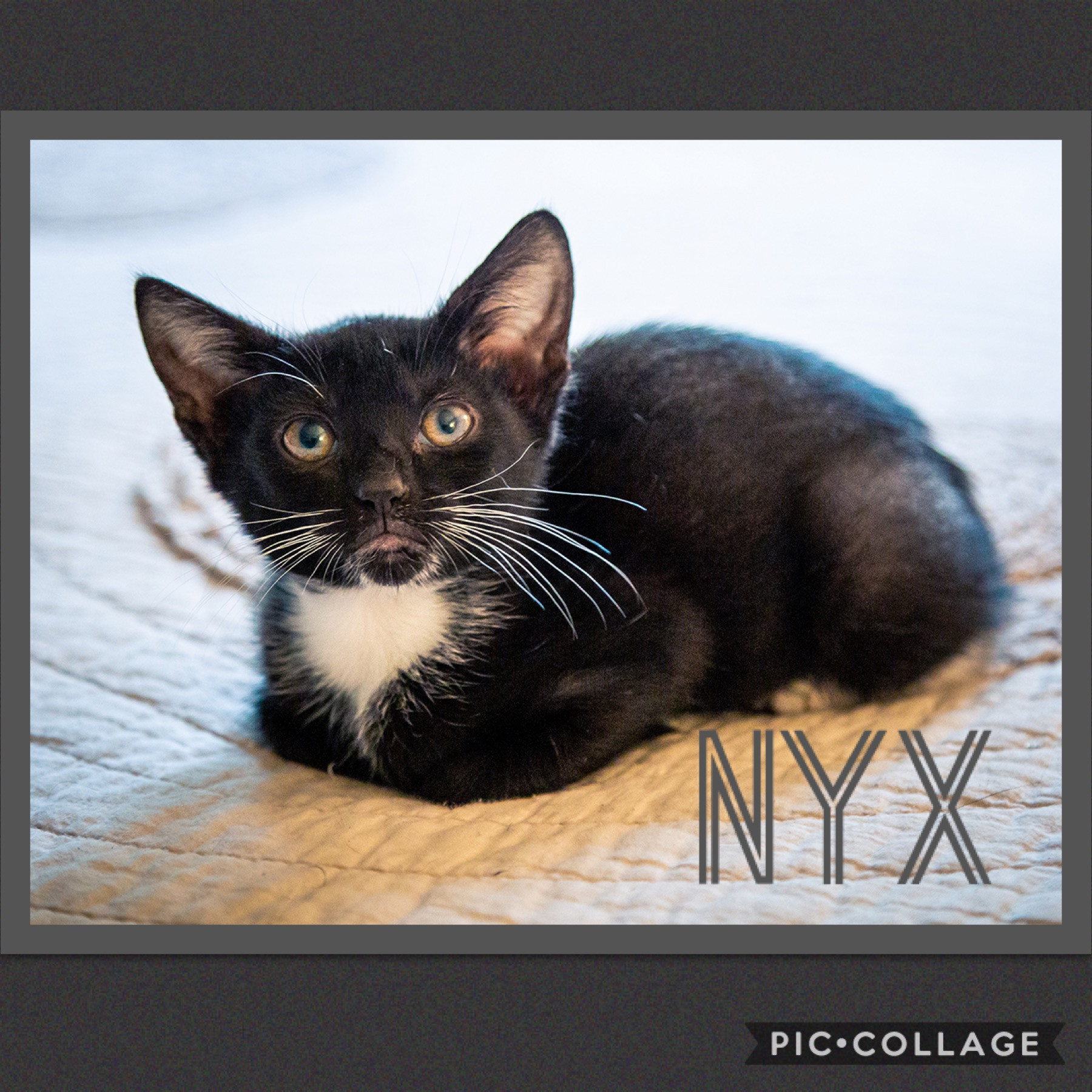 Nyx