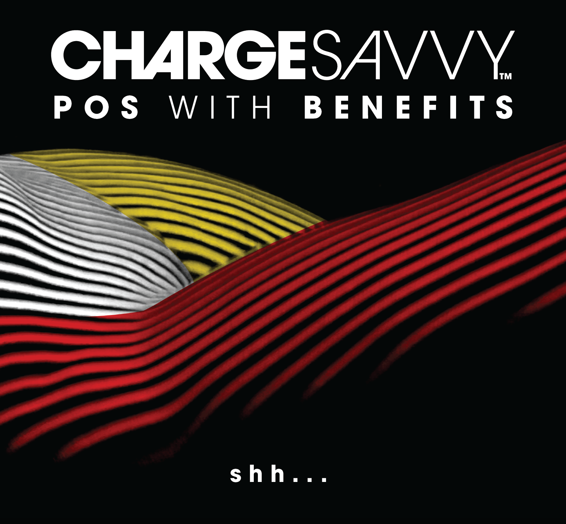 ChargeSavvy Brand Refresh | Eli Orofino