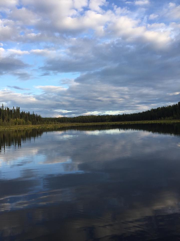 Explore the Beauty of Nancy Lake State Rec. Area with Sit-On-Top Kayaks ...
