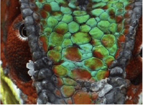 Ali Alvarez / BRAND & FILM