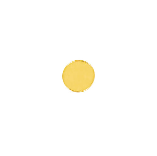 14k Gold Disk | My Site
