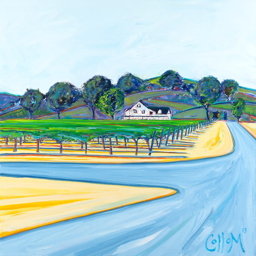 Vineyard Home | Tim Collom Gallery