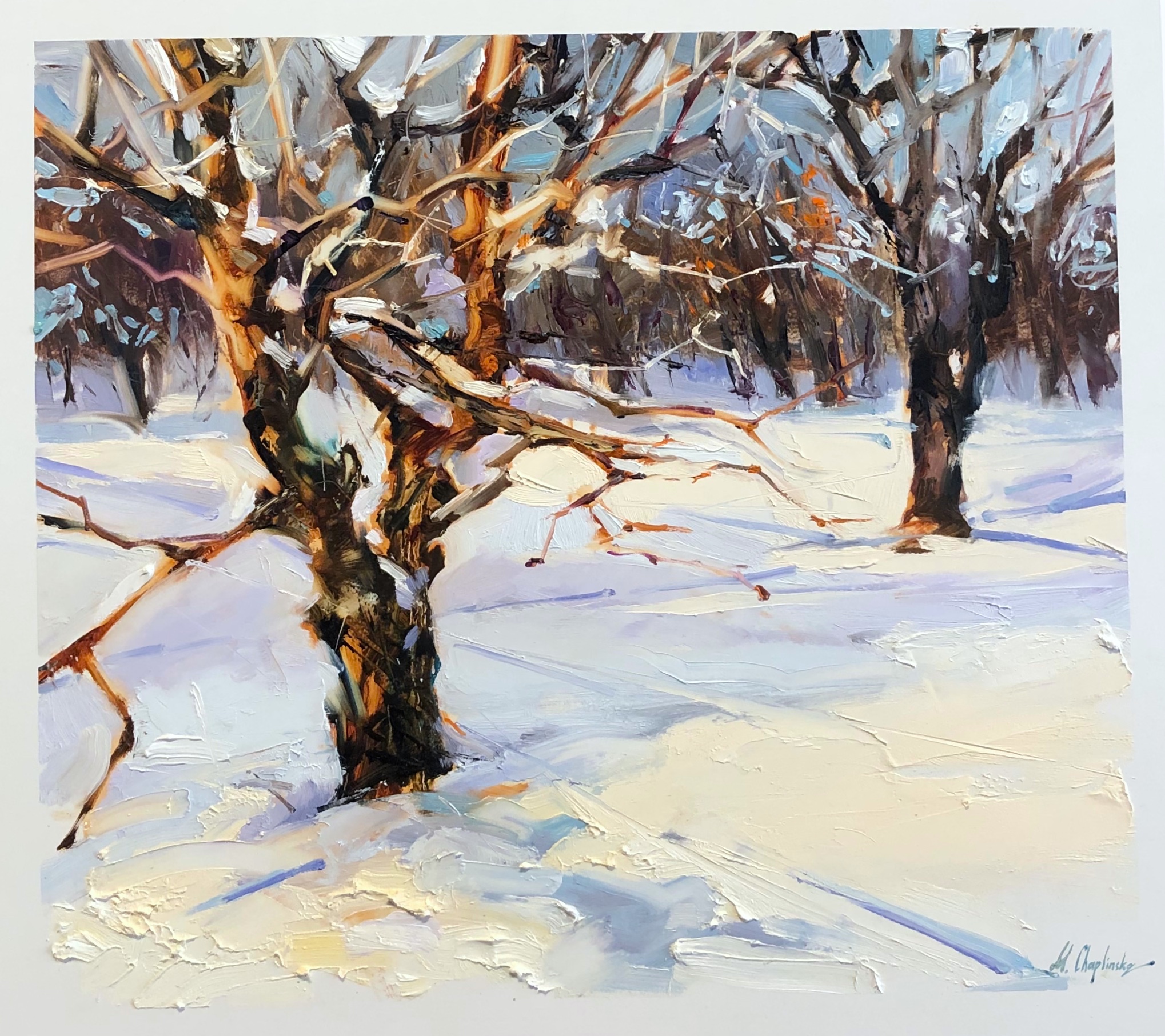 Art Gallery | Tim Collom Gallery | Sacramento, CA