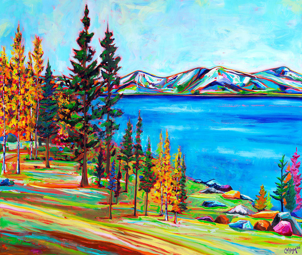 Shop | Tim Collom Gallery