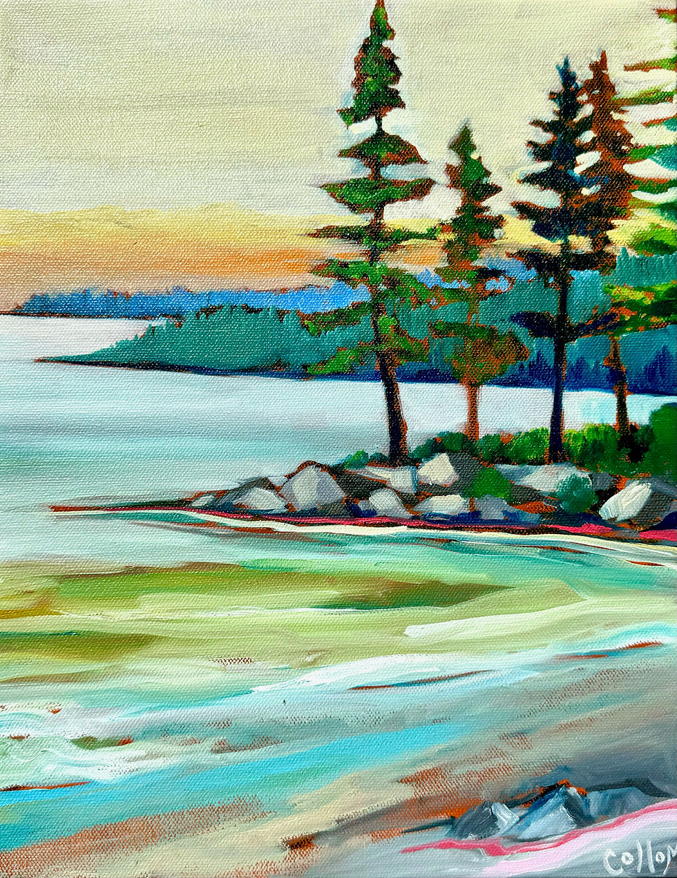 Tim Collom Gallery | Art Gallery | Sacramento