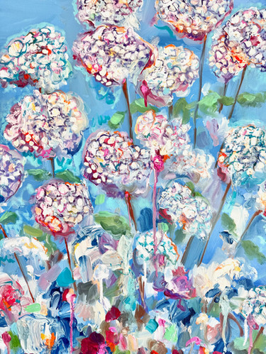 Hydrangeas | Tim Collom Gallery