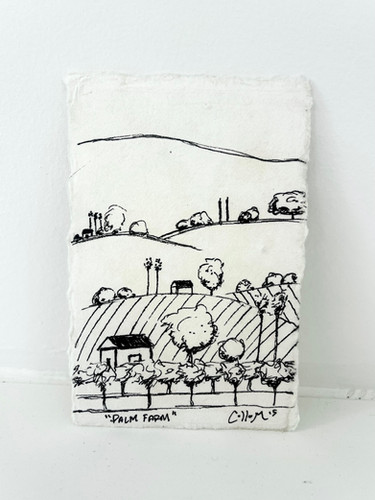 Palm Farm | Tim Collom Gallery