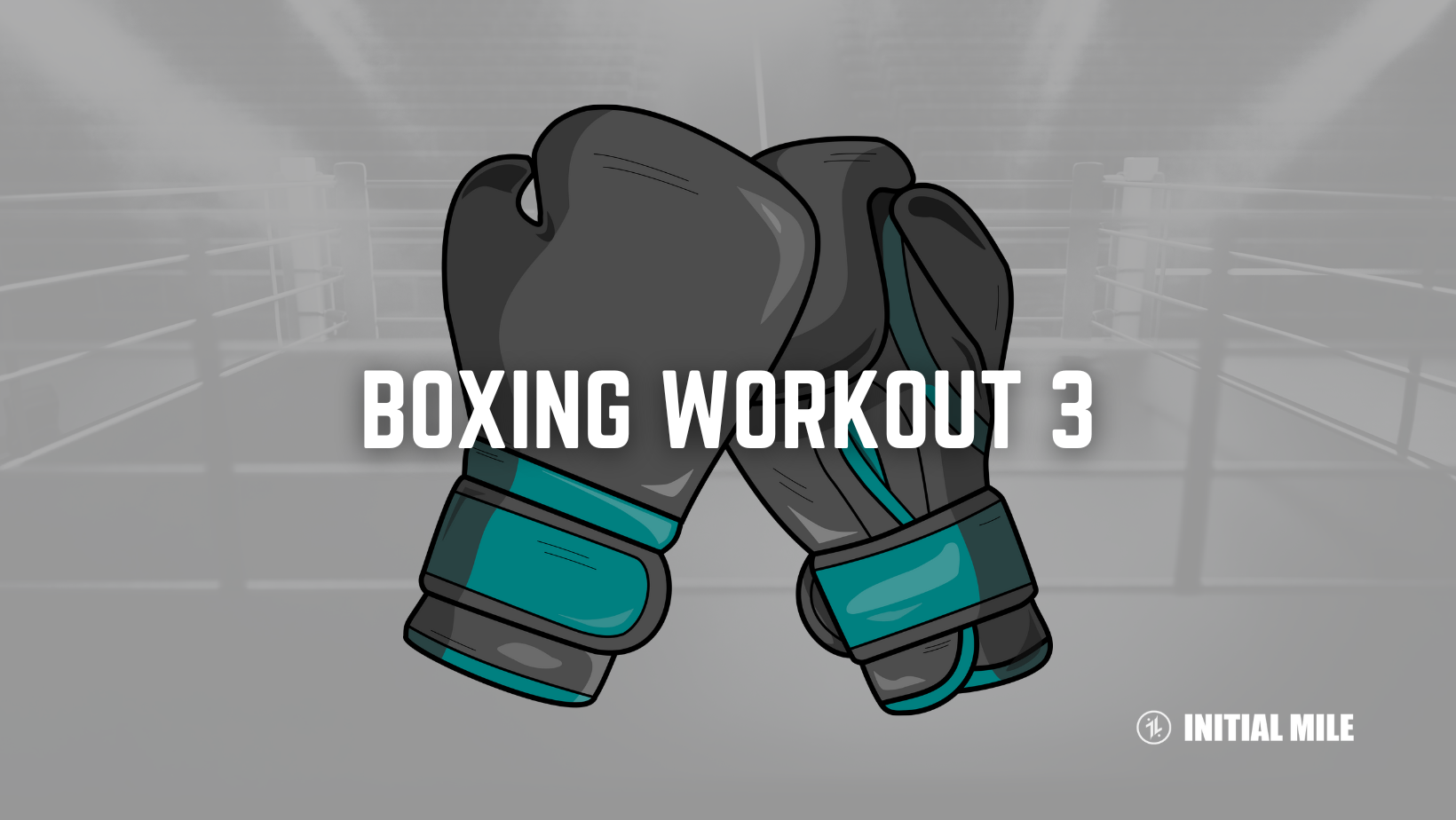 Fight Fit Boxing Workout 3